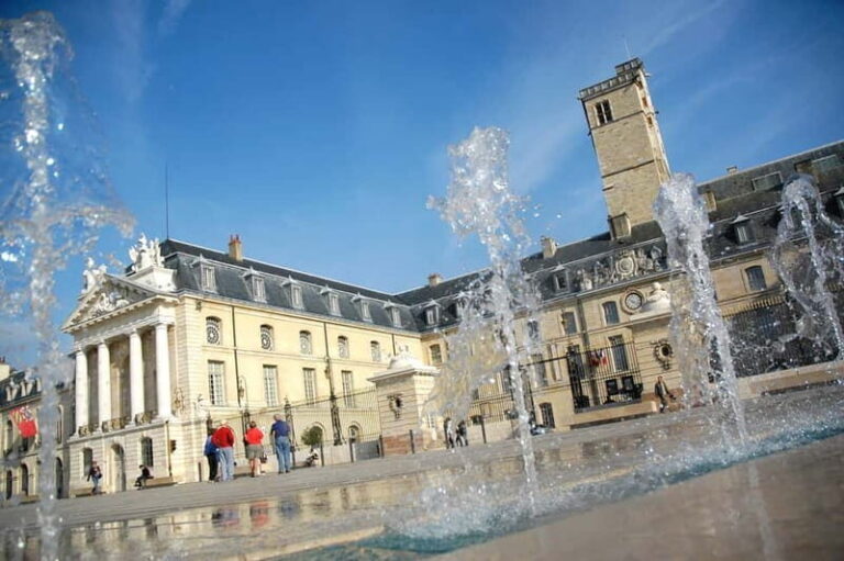 Dijon: City Tour with a French-speaking Guide - What Will You See and Learn?