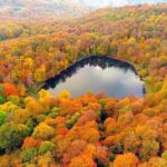 Dilijan transfer to or from Yerevan - Pricing and Value