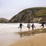 Dingle Day Tour from Limerick - Authentic Reviews and Insights