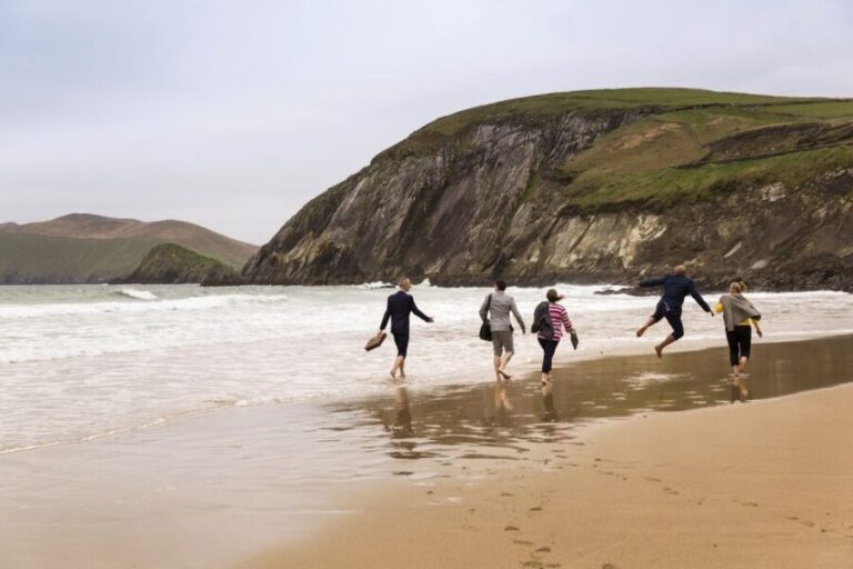 Dingle Day Tour from Limerick - Authentic Reviews and Insights