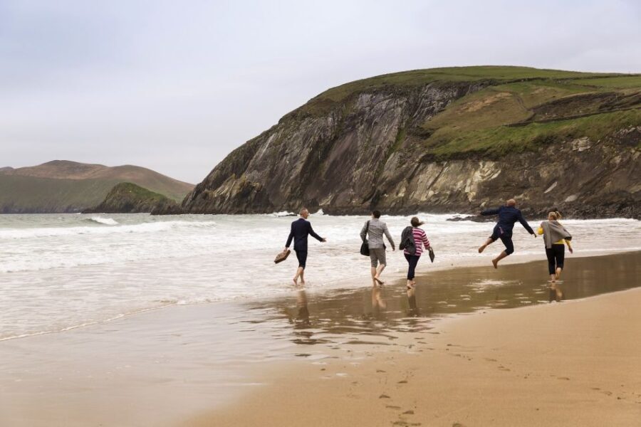 Dingle Day Tour from Limerick - Authentic Reviews and Insights