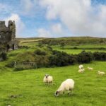 Dingle: Heritage Photo And Sightseeing Tour - Who Would Love This Tour?