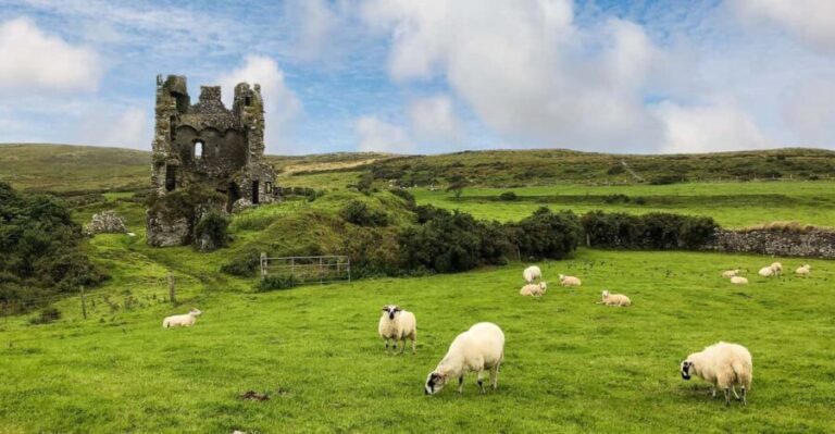 Dingle: Heritage Photo And Sightseeing Tour - Who Would Love This Tour?