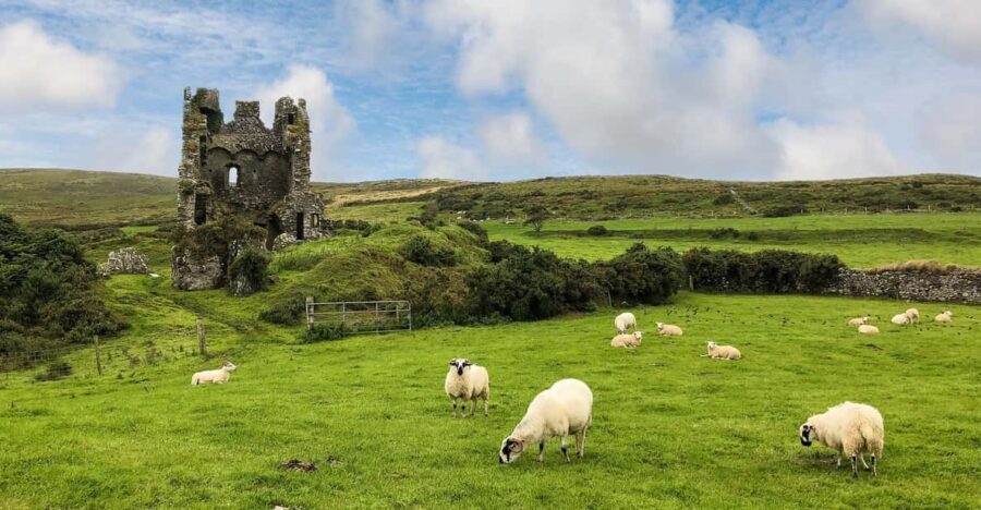 Dingle: Heritage Photo And Sightseeing Tour - Who Would Love This Tour?