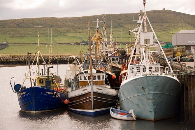 Dingle Peninsula Day Tour from Limerick: Including The Wild Altanic Way - An Overview of the Tour Experience