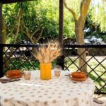 Dining Experience at a local's Home in Stresa with Show Cooking - The Value of This Experience