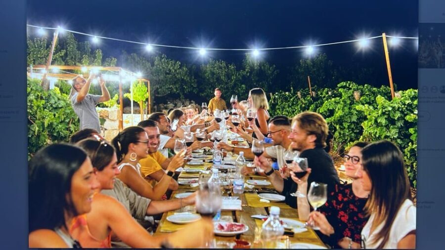 Dinner in the vineyard and wine tasting under the stars - Detailed Breakdown of the Experience