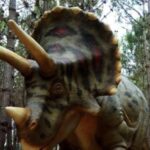 Dinosaurs Park - Family Half day tour - Detailed Breakdown of the Tour Experience