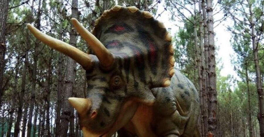 Dinosaurs Park - Family Half day tour - Detailed Breakdown of the Tour Experience