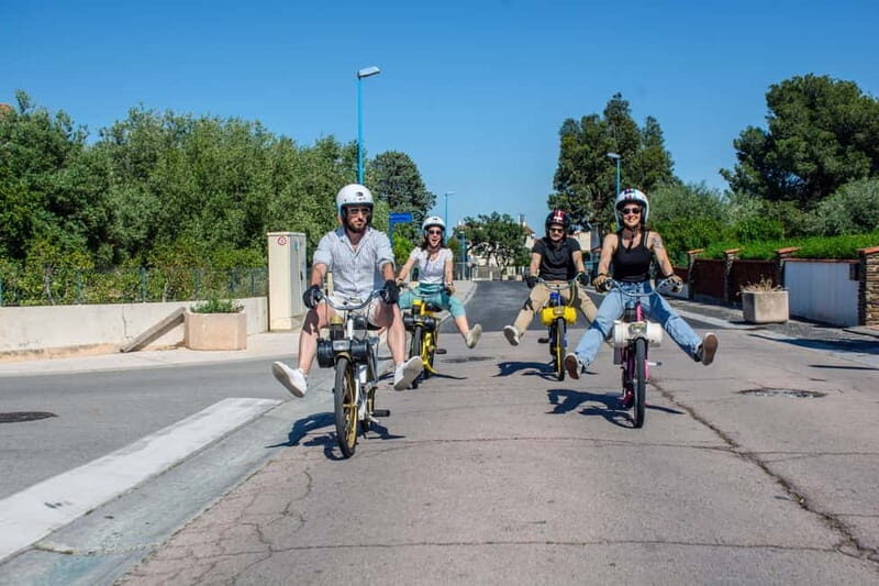 Discover Argeles and its landscapes on a solex - Who is This Tour Best For?