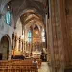 Discover Avignon combined with unique food & wine tasting - Who Will Love This Tour?