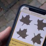 Discover Enschede in this Outside Escape city game tour! - Key Points