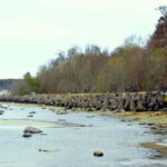 Discover Estonia-car tour from Tallinn to Keila-Joa Waterfal - Why This Tour Stands Out