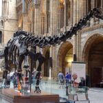 Discover Evolution at the Natural History Museum - The Value Proposition