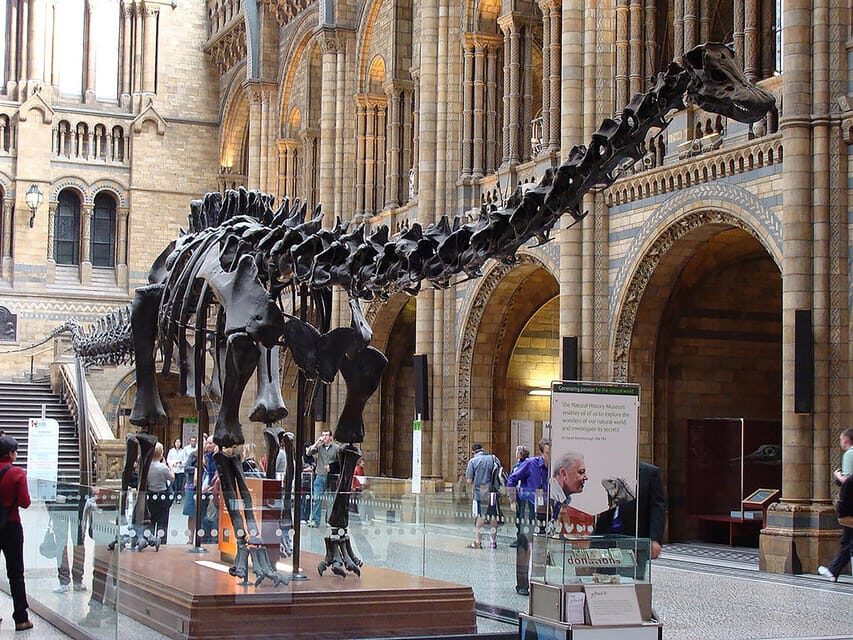 Discover Evolution at the Natural History Museum - The Value Proposition