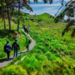 Discover Haugesund and visit a local mountain farmer - A Carefully Curated Itinerary