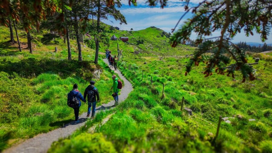 Discover Haugesund and visit a local mountain farmer - A Carefully Curated Itinerary