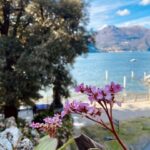 Discover Lake Como & Bellagio with a local - The Itinerary: What You Can Expect