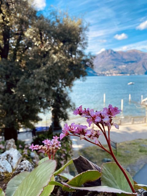 Discover Lake Como & Bellagio with a local - The Itinerary: What You Can Expect
