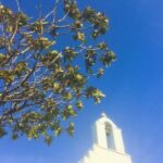 Discover Lefkes: Traditional Greek Village Paros VIP Experience - Who Will Love This Tour?
