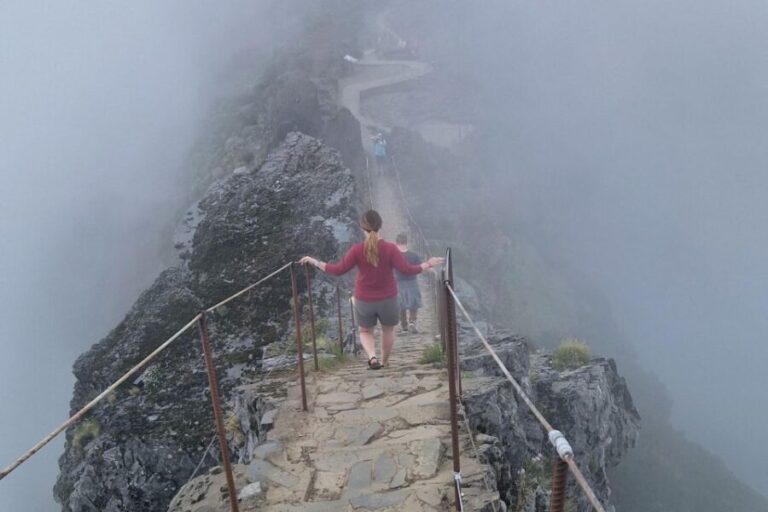 Discover Madeira's idyllic hikes & beauty on foot & wheels! - What to Expect During Your Day