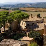 Discover Montalcino through its best productions: Brunello & Saffron!! - The Sum Up
