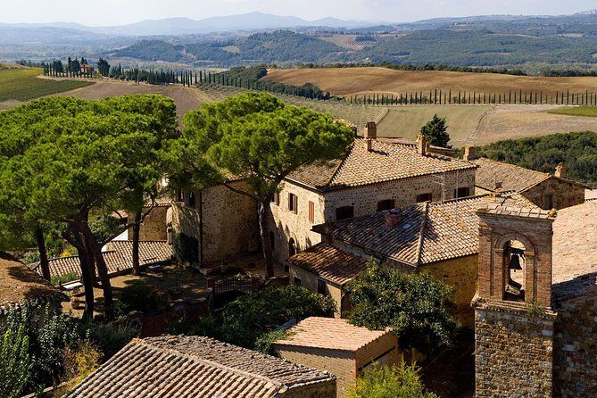 Discover Montalcino through its best productions: Brunello & Saffron!! - The Sum Up