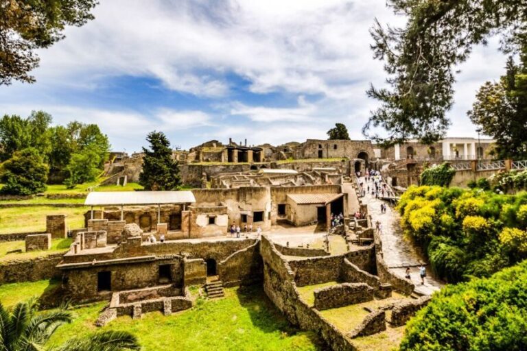 Discover Mt. Vesuvius: Private 3-Hour Tour from Pompeii - What to Expect from the Tour