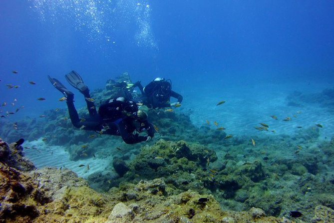 Discover Scuba Diving - An Overview of What to Expect