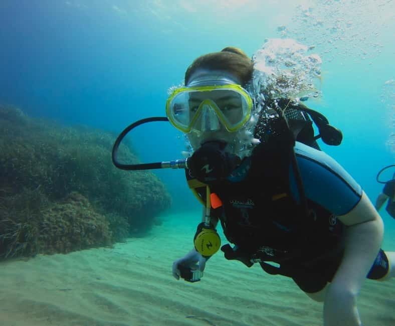 Discover Scuba Diving Boat Tour - Key Points