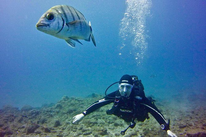 DISCOVER SCUBA DIVING - First step to your certification - What to Expect from the Tour