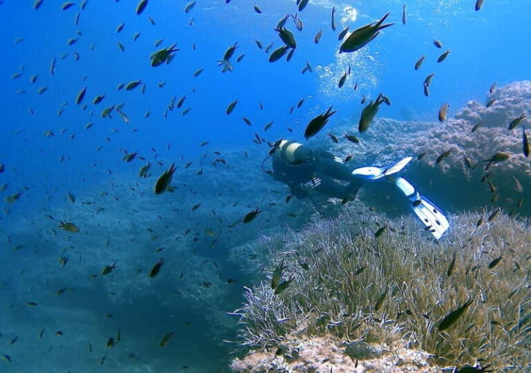 Discover Scuba Diving in Menorca: your first underwater adventure - What You Can Expect from the Itinerary