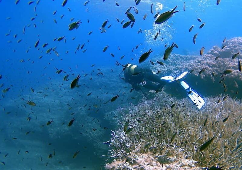 Discover Scuba Diving in Menorca: your first underwater adventure - What You Can Expect from the Itinerary