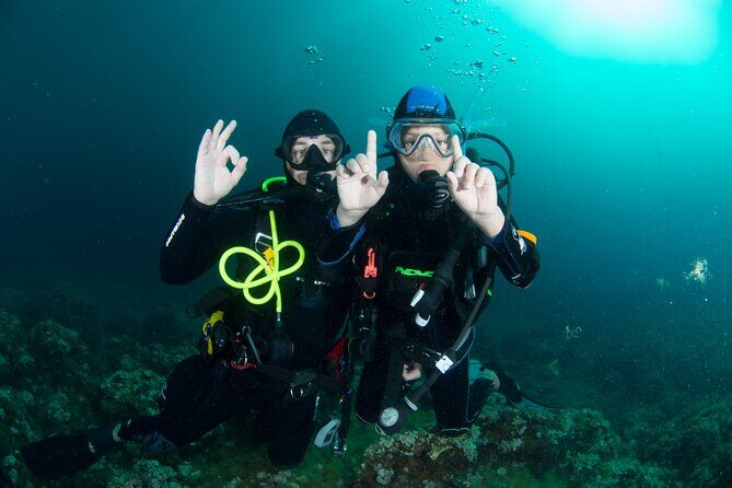 Discover Scuba Diving PADI - Trial dive in Sorrento - The Sum Up