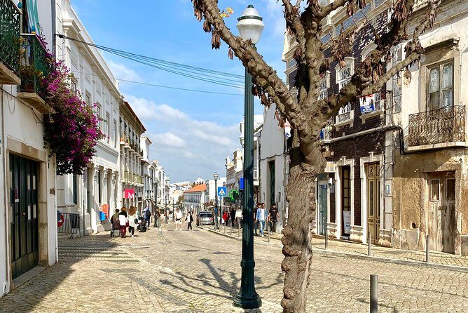 Discover Tavira - Tapas and Wine Tour - Practical Details and What to Expect