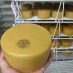 Discover the Art of Idiazabal Cheese in the Basque Country - Why This Tour Offers a Unique Experience