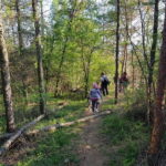 Discover the Charm of Guteria Hill/Sibiu Panorama - Practicalities and What To Bring