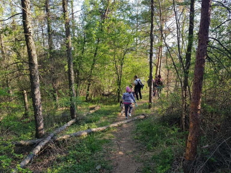 Discover the Charm of Guteria Hill/Sibiu Panorama - Practicalities and What To Bring