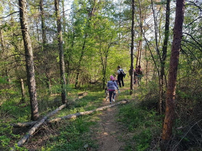 Discover the Charm of Guteria Hill/Sibiu Panorama - Practicalities and What To Bring