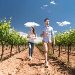 Discover the Essence of Ibizas rich wine culture - The Itinerary: How the Experience Unfolds