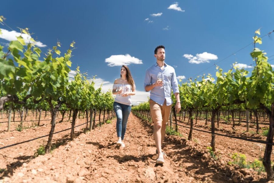 Discover the Essence of Ibizas rich wine culture - The Itinerary: How the Experience Unfolds