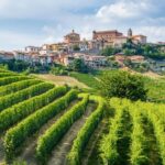 Discover the Heart of Alba and Barolo Reggion - The Itinerary in Detail