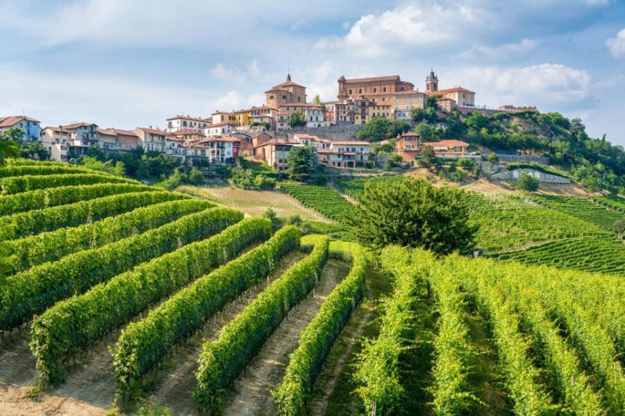 Discover the Heart of Alba and Barolo Reggion - The Itinerary in Detail
