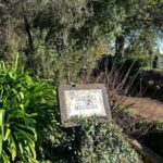 Discover the Paradise Valley - a quick escape for Everyone - Authentic Testimonials