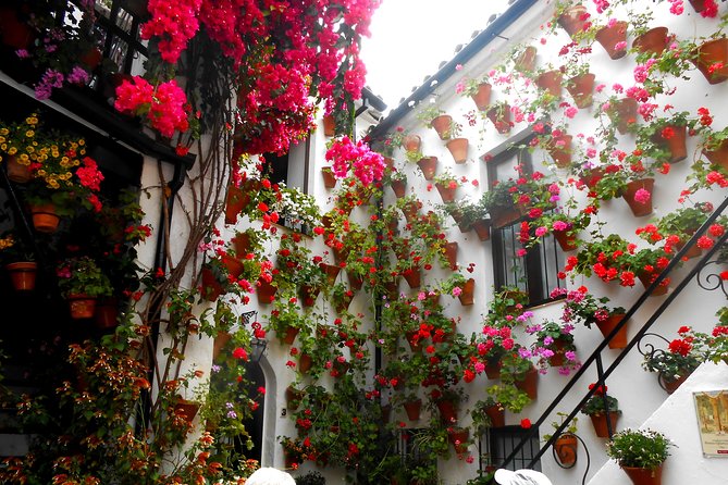 Discover the Patios de Córdoba: guided tour - An In-Depth Look at the Patios de Córdoba Guided Tour