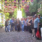 Discover the Patios of Cordoba: A Treasure of Color and Tradition. - The Experience in Practice