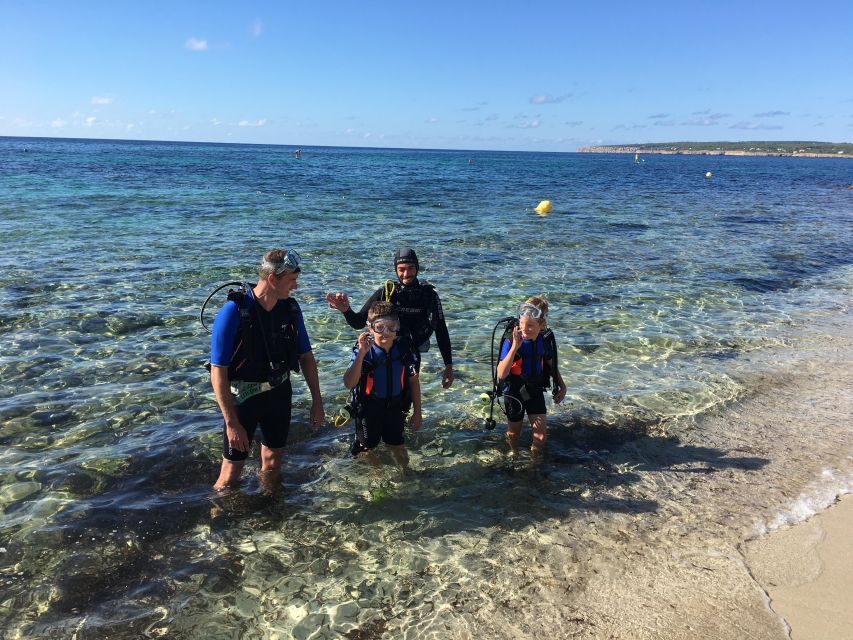 DISCOVER THE UNDERWATER WORLD, Scuba Diving Experience - FAQ