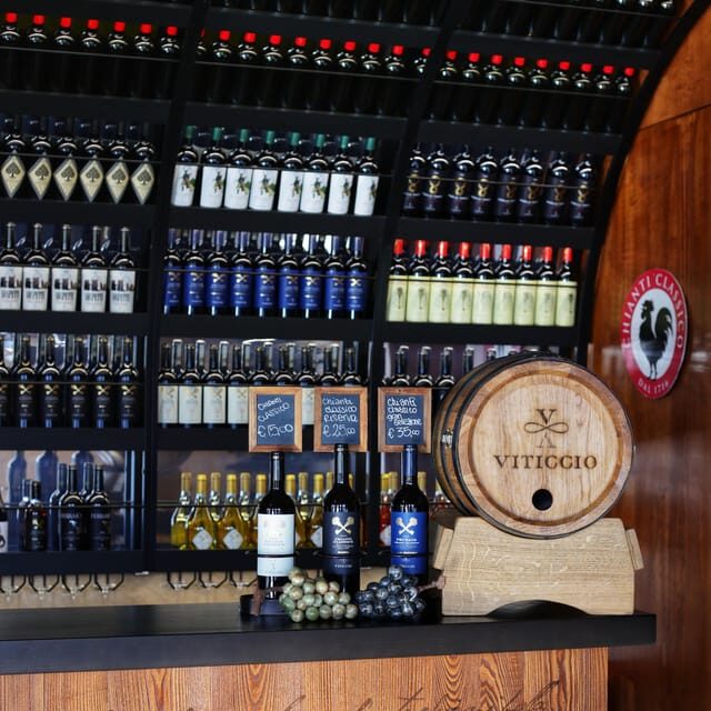 Discover the Wines of Chianti Classico with a tasting at Viticcio - Who Should Consider This Experience?