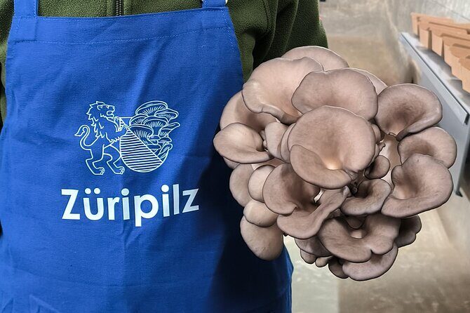 Discover the World of Mushrooms - An In-Depth Look at the Mushroom Farm Tour