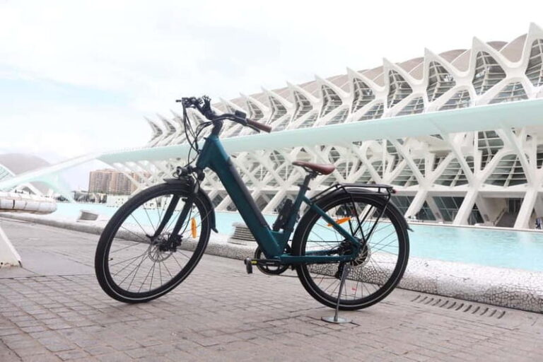 Discover Valencia by bike  Dutch-speaking tour - What You Can Expect from This Bike Tour